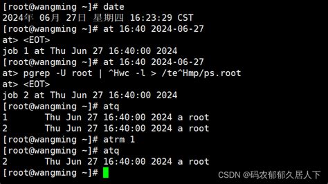 Linux：进程和计划任务管理 Csdn博客