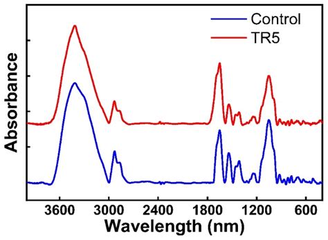 Effect Of Trehalose On The Physicochemical Properties Of Freeze Dried