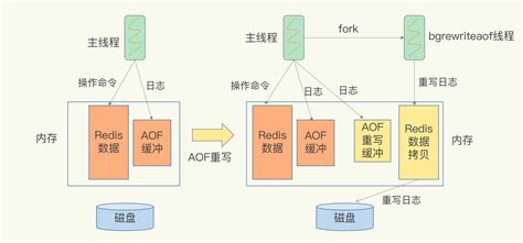 Redis基础篇三持久化AOF日志 大杂草 博客园