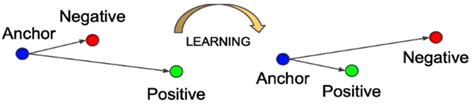 Question About Contrastive Representation Learning In 1st Lab