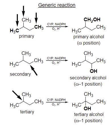 Biochem Ch And Ch Flashcards Quizlet