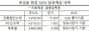 인동첨단소재 유성운 회장 인동FIC유로셀 지분 GEGI에 담보