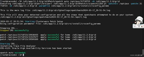 解锁oracle 11g潜能：精准补丁包与高效数据库升级策略 oracle数据库补丁 csdn博客