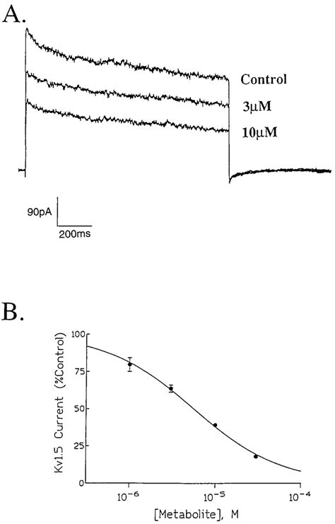 Effects Of The Loratadine Metabolite Descarboethoxyloratadine On Kv1 5 Download Scientific
