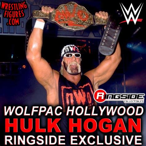 Hollywood Hogan Kevin Nash Scott Steiner Nwo Wolfpac 48 Off