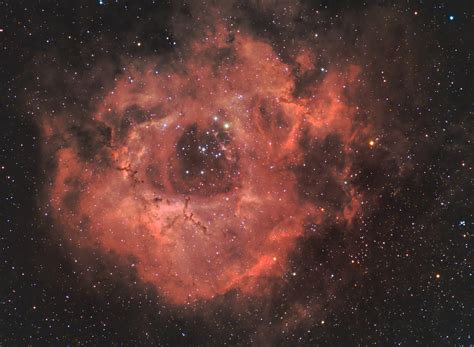 Rosette Nebula Members Album Stargazers Lounge