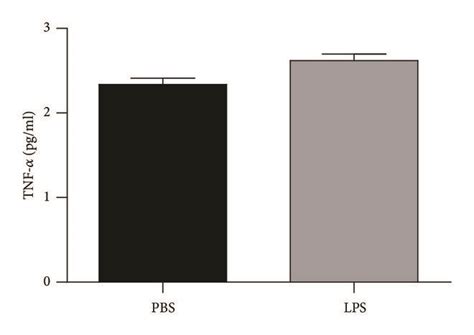 Levels of TNF α hippocampus a and cortex b and IL β in hippocampus