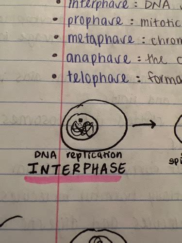 Week Lab Quiz Review Flashcards Quizlet