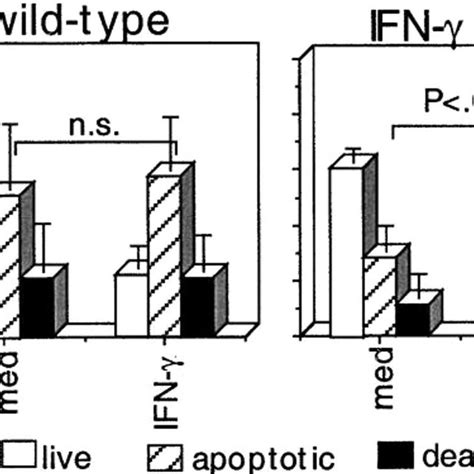 Induction Of Apoptosis Of Cd4⁺cd44hi T Cells In Vitro By Ifn γ Spleen