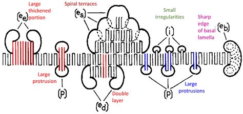 Concepts Of Nucleation In Polymer Crystallization