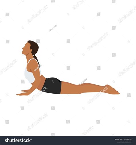 Woman Doing Cobra Bhujangasana Yoga Pose Stock Vector Royalty Free