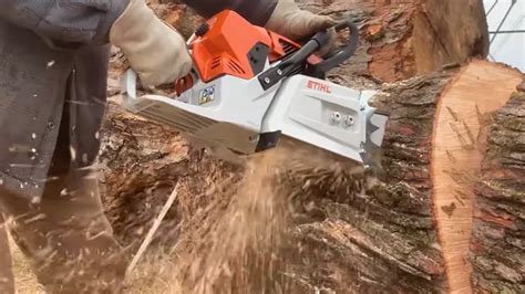 STIHL MS 881 Chainsaw Review Forestry Reviews