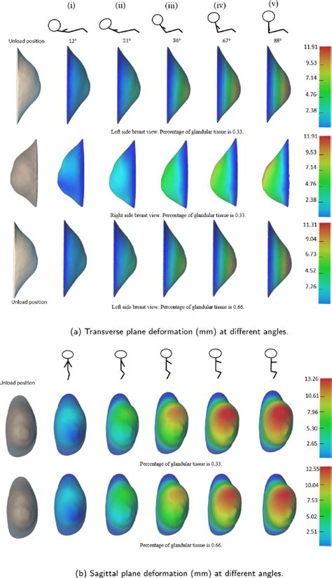Color Map For Deformation Download Scientific Diagram