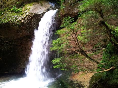 შარეულას ჩანჩქერი Outdoor Waterfall Water