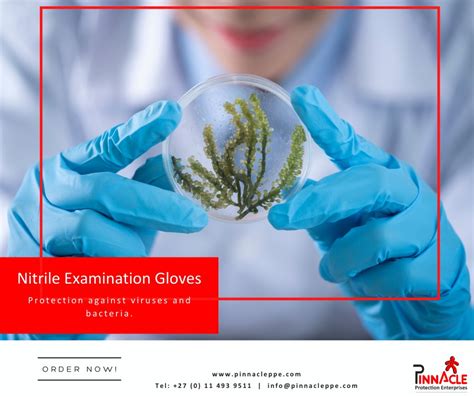 🔬 Discover Pinnacle Protection Enterprises Pinnacleppe