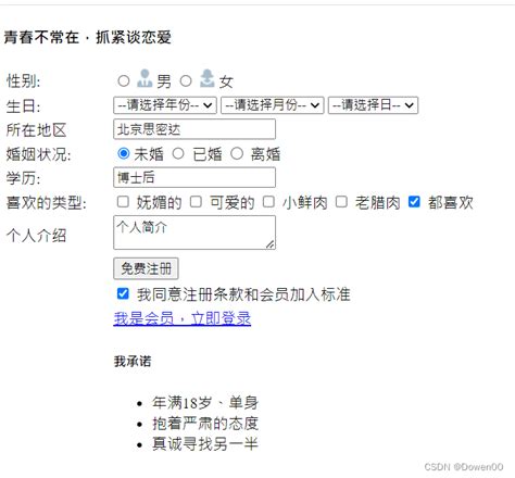 综合案例 注册页面（表单） Csdn博客