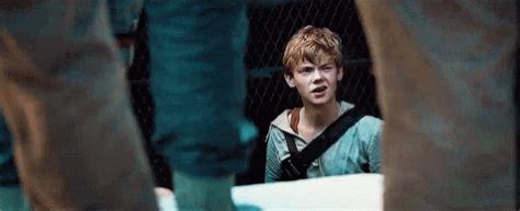 Newt Tmr GIF Newt Tmr Maze Discover Share GIFs
