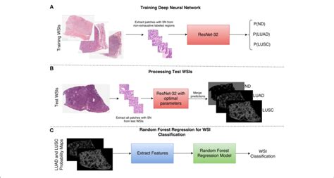 Overview Of The Nsclc Classification Framework A Workflow For