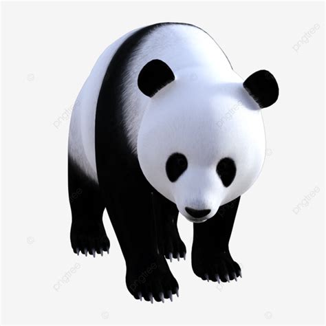 Panda 3d Model Illustration Panda Panda 3d Model Panda Cute Png