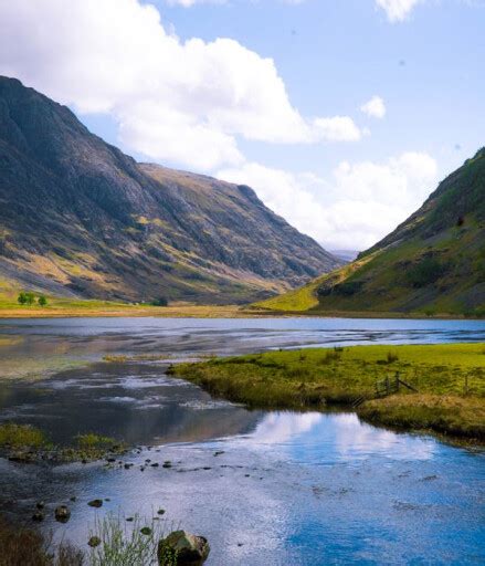 Patrick Tibbetts Polk Today