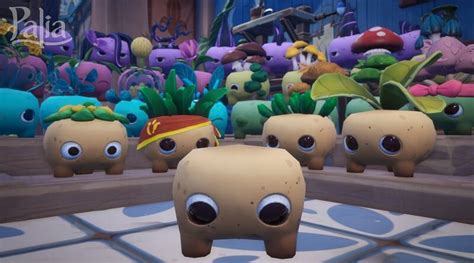 Palia Switch All The Updates Latest Ver 0183 Sunrise Soirée Next Ver 0184