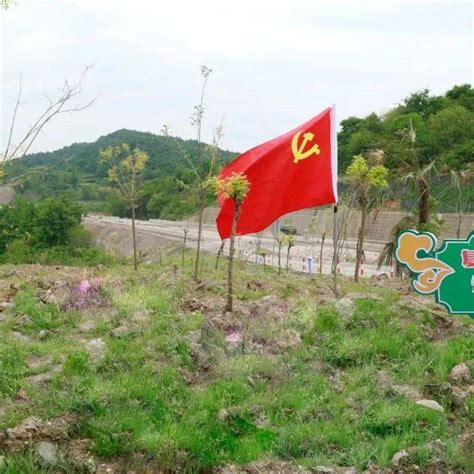 高速公路临时用地重新穿上绿色新衣工作复垦新昌