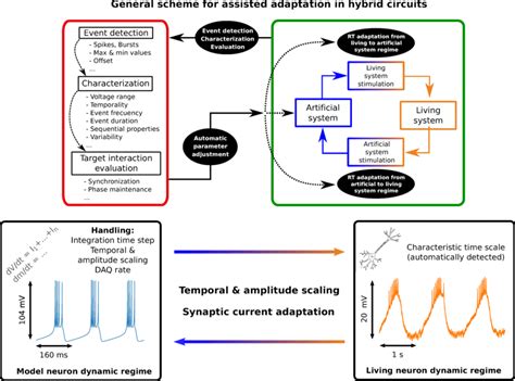 general closed loop approach proposed for the assisted automatic