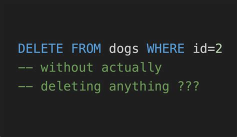 Virtual Environment And Package Management In Python By Gözde Madendere