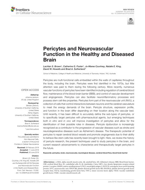 Pdf Pericytes And Neurovascular Function In The Healthy And Diseased Brain