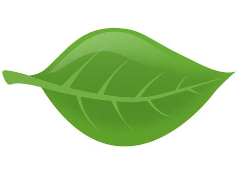 Más De 30 000 Ilustraciones De Hojas De Arbol Y Hojas Gratis Pixabay