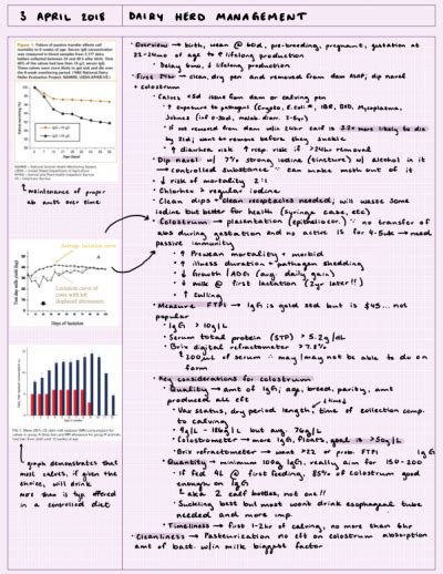 🌱 Modified Cornell Notes V 2 Color Edition 🌈 Im Tumbex