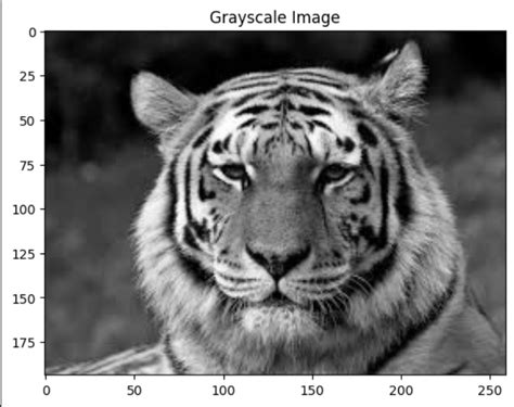 Converting An Rgb Image To A Grayscale Image By Vinayak Kattimani