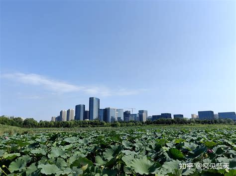 北京水系之通明湖（通明湖公园） 知乎