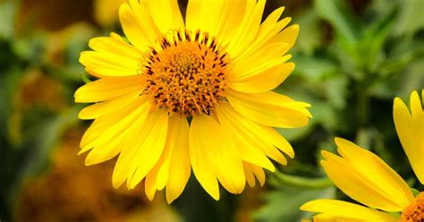 How Open Source Software Is Revolutionizing The Music Industry