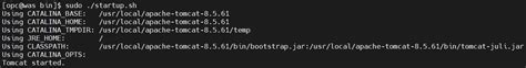 Ssl With Certbot