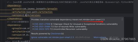 【问题】pom xml文件解决provides transitive vulnerable警告 xml cacho 37967865