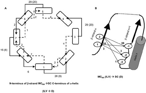 Positional Preference Of Ba Hairpin Clamps In 71 Tim Barrel Proteins