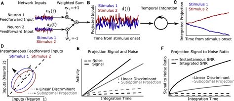 Learning Shapes Cortical Dynamics To Enhance Integration Of Relevant