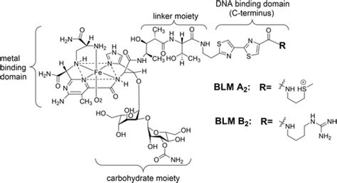 A Simple Colorimetric Assay Of Bleomycin‐mediated Dna Cleavage