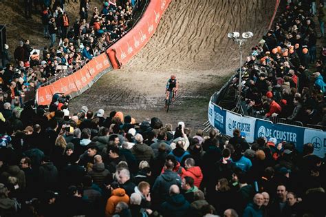 Van Anrooij Brille Dans Le Sable De Zonhoven Flanders Classics