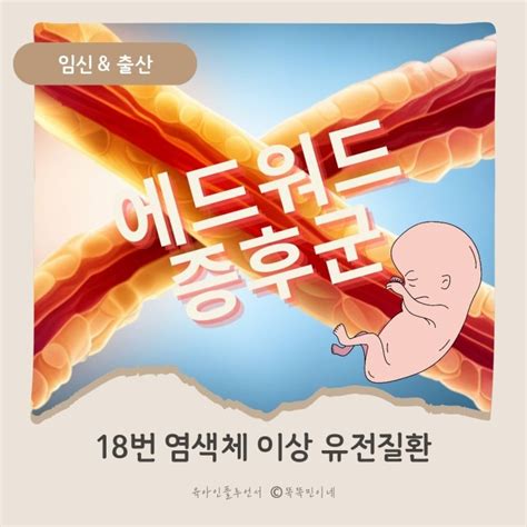 임신 기형아 검사 에드워드 증후군 유전질환 발견되면 어떻게 네이버 블로그