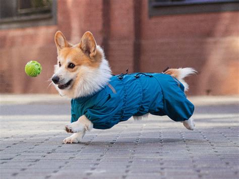 Пирожочек изумрудный дождевик мембрана мальчик