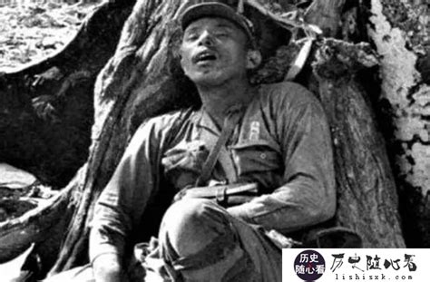 日本伤兵的结局 历史随心看