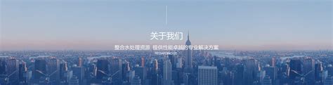 公司简介 蓝膜树脂 蓝膜树脂