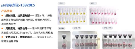 如何做好分子poct产品？检测诊断试剂