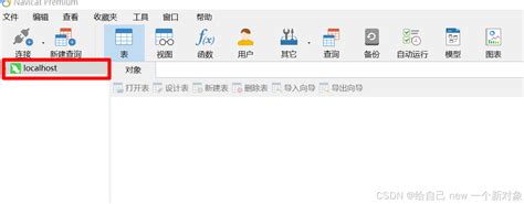 Mysql图形化管理工具——navicat Premium安装及使用 Csdn博客