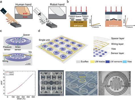 Scientists Develop Soft Robotic Skin That Mimics Human Touch By Sensing Object Consistency