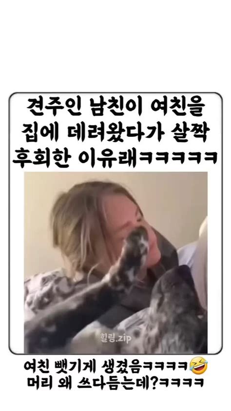 힐링집 머리 왜 쓰다듬는건댕ㅋㅋㅋ 1일 1힐링은 약속드립니다🤙🏻🫶🏻 힐링이 되셨으면 팔로우🙆‍♂️좋아요🙆 더 많은 힐링모음집은 👉🏻healingzip