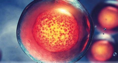 Stem Cell Secretome Exosome Therapy Launches To The Public Exosome Rna