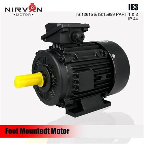 055 Kw 20 Hp Three Phase Induction Motor 900 Rpm 4 Pole At ₹ 56500
